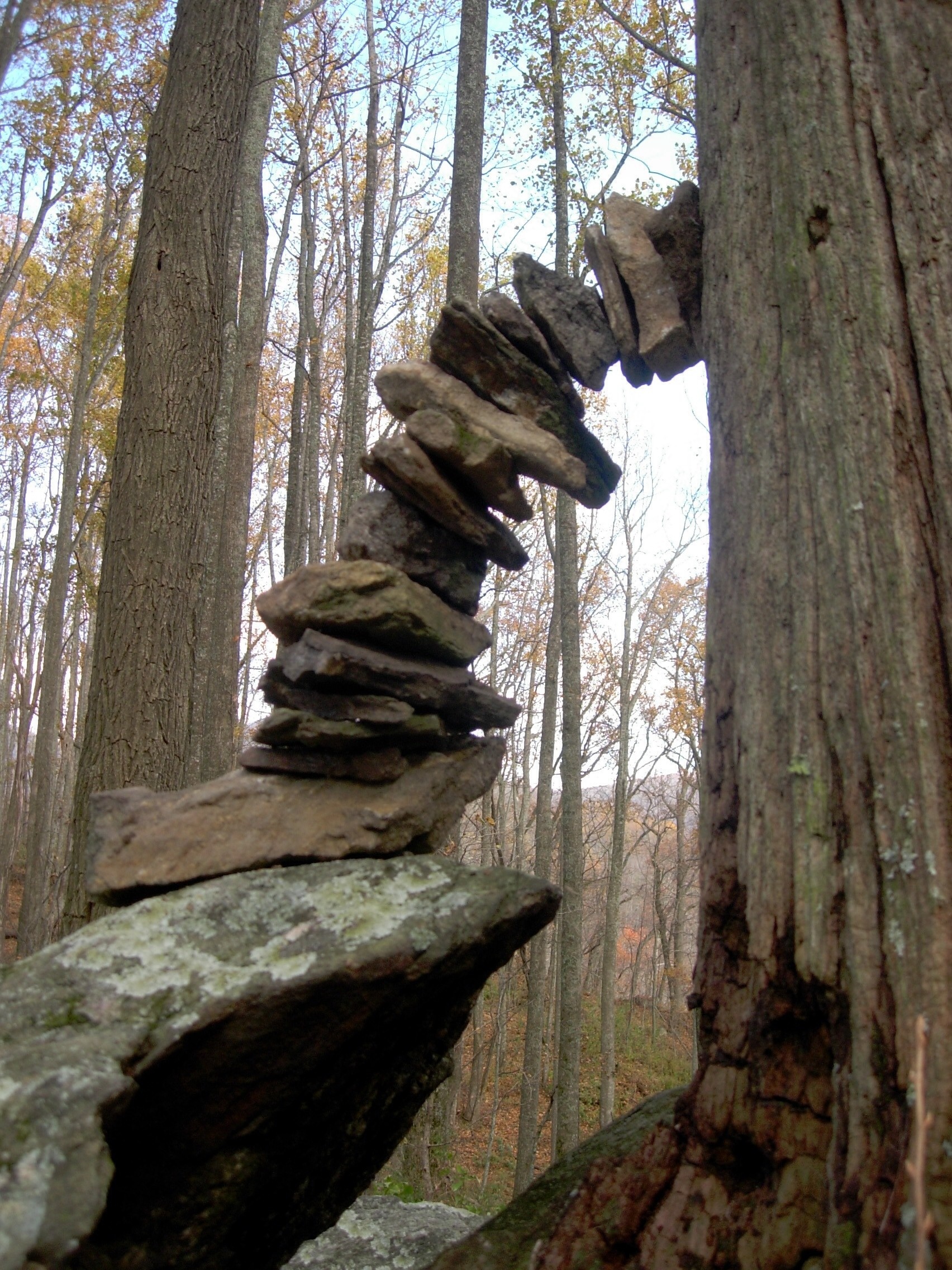 Gallery | Peter Rocks