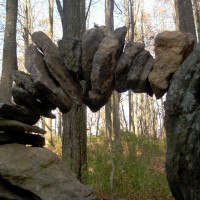 Gallery | Peter Rocks