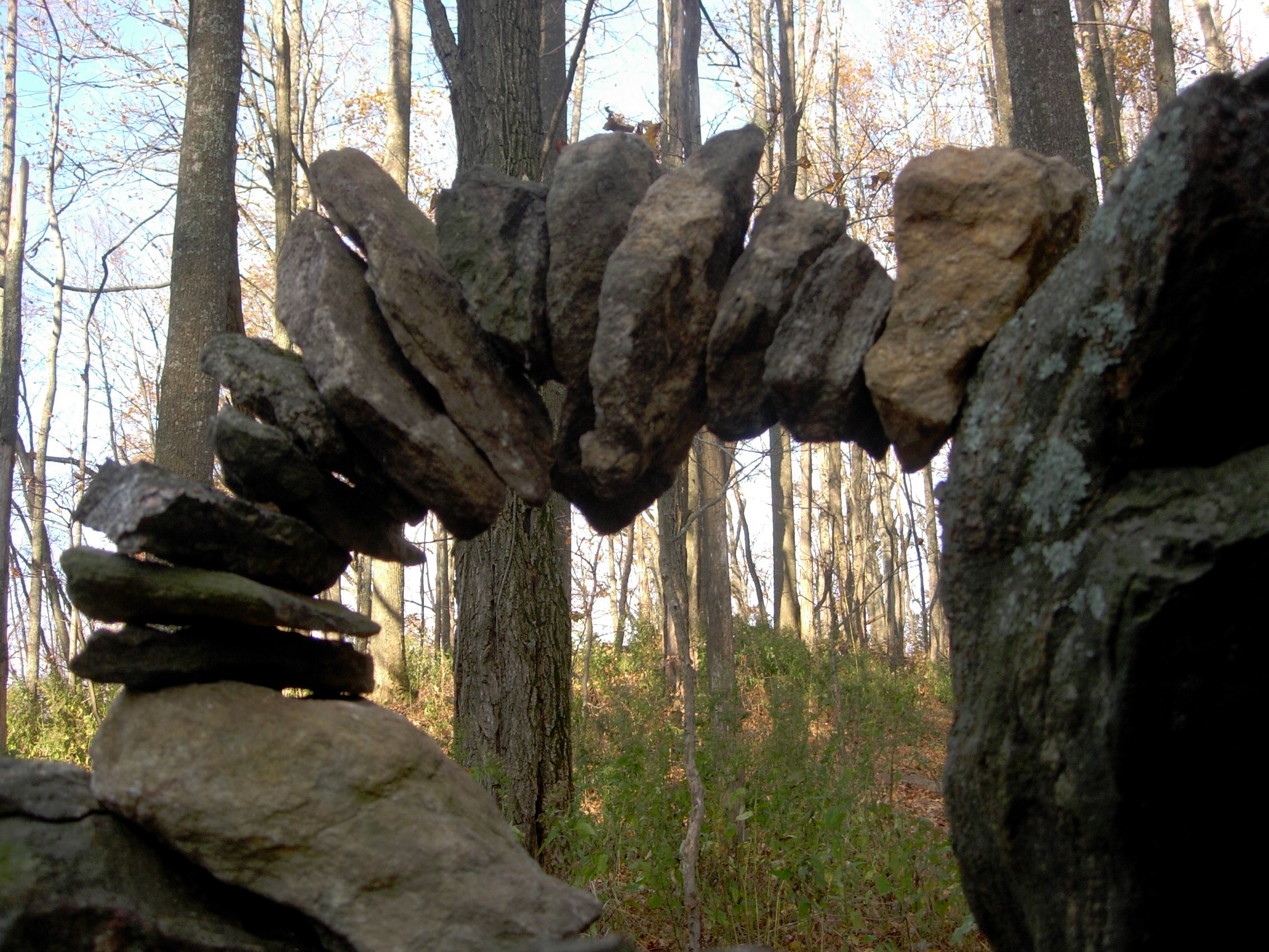 Gallery | Peter Rocks